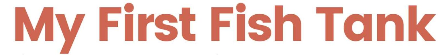 The Beginner Guide To Saltwater Aquariums - My First Fish Tank