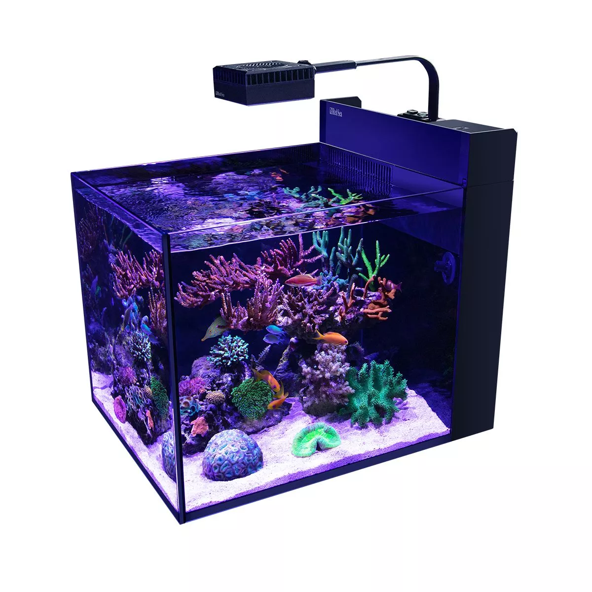 $1,500 High Budget Build - My First Fish Tank