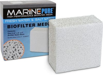 Top Five Beginner Filter Media - My First Fish Tank