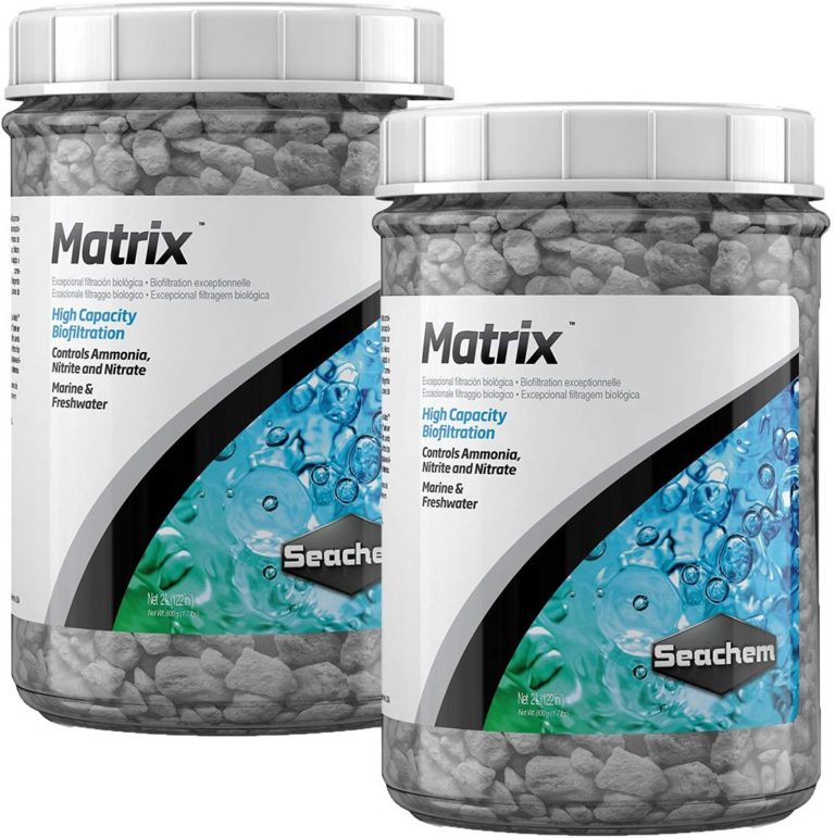 Top Five Beginner Filter Media - My First Fish Tank