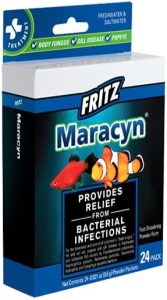The Beginner Guide To Saltwater Fish Medication And Treatment - My ...