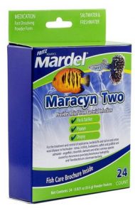 The Beginner Guide To Saltwater Fish Medication And Treatment - My ...