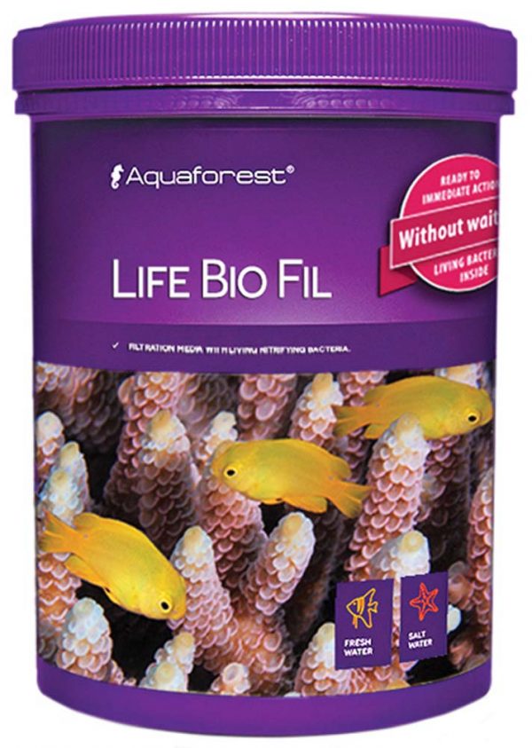 How To Setup A Cheap Saltwater Aquarium Build Guide - My First Fish Tank