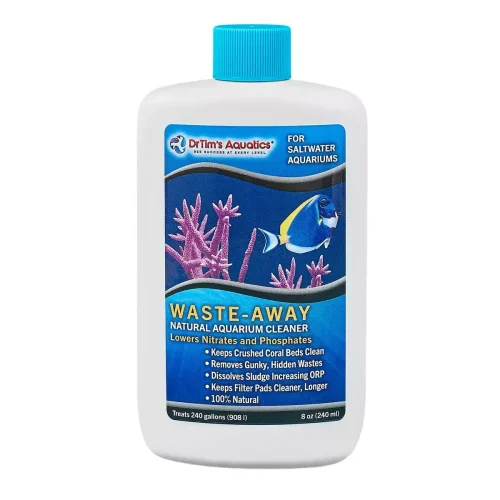 The Beginner Guide To Clean Up Crews - My First Fish Tank