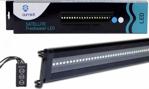 How To Setup A Cheap Saltwater Aquarium Build Guide - My First Fish Tank