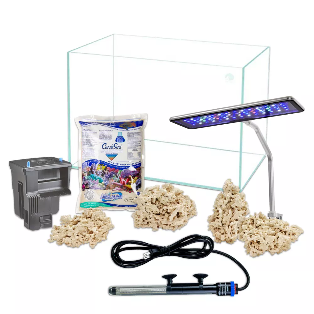 The Beginner Guide To Saltwater Aquariums - My First Fish Tank