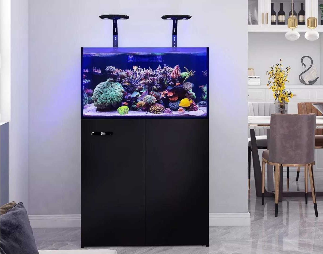 How Many Fish Can You Put In A Saltwater Aquarium? - My First Fish Tank